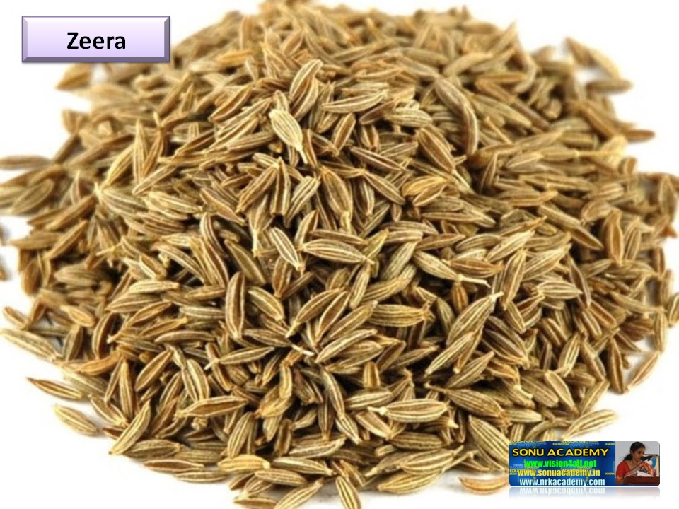 SONU ACADEMY: ZEERA-TEXT