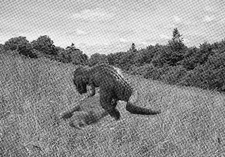 Cryptodraco: Mokèlé-Mbèmbé, A Living Dinosaur? Part 3: Kasai Rex ...