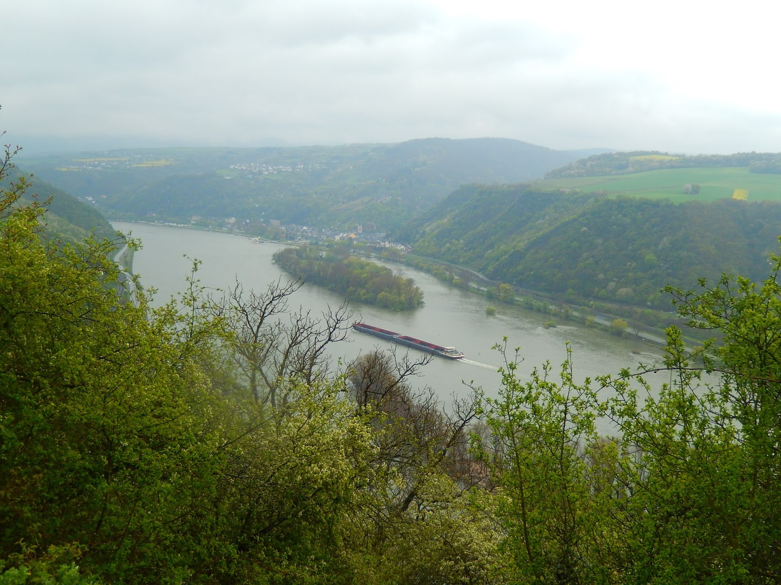 Der Wanderfreund: Wilder Rheinsteig Etappe 15 von Kaub nach Lorch (14,8 km)