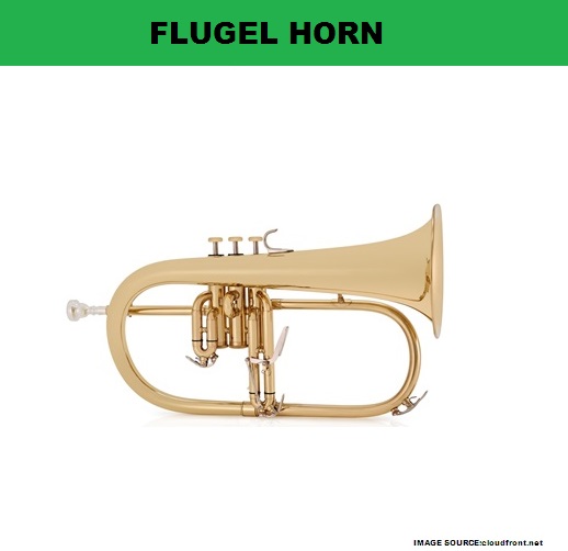 My Homeworks: BRASS WIND INSTRUMENT-FLUGEL HORN