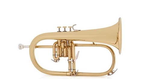 My Homeworks: BRASS WIND INSTRUMENT-FLUGEL HORN