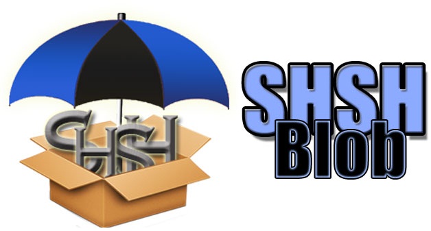 How To Save And Backup Shsh Blobs For Ios 6126160 Using Tinyumbrella For Iphone Ipad And Ipod