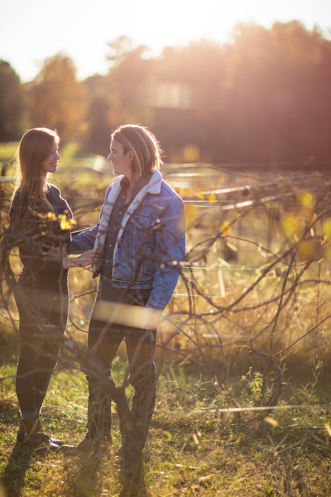 FOR THE LOVE OF MOTION: 2017