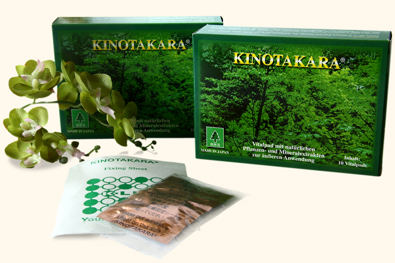 Εκδόσεις Εισέλιξη: Kinotakara: Τα Επιθέματα Αποτοξίνωσης