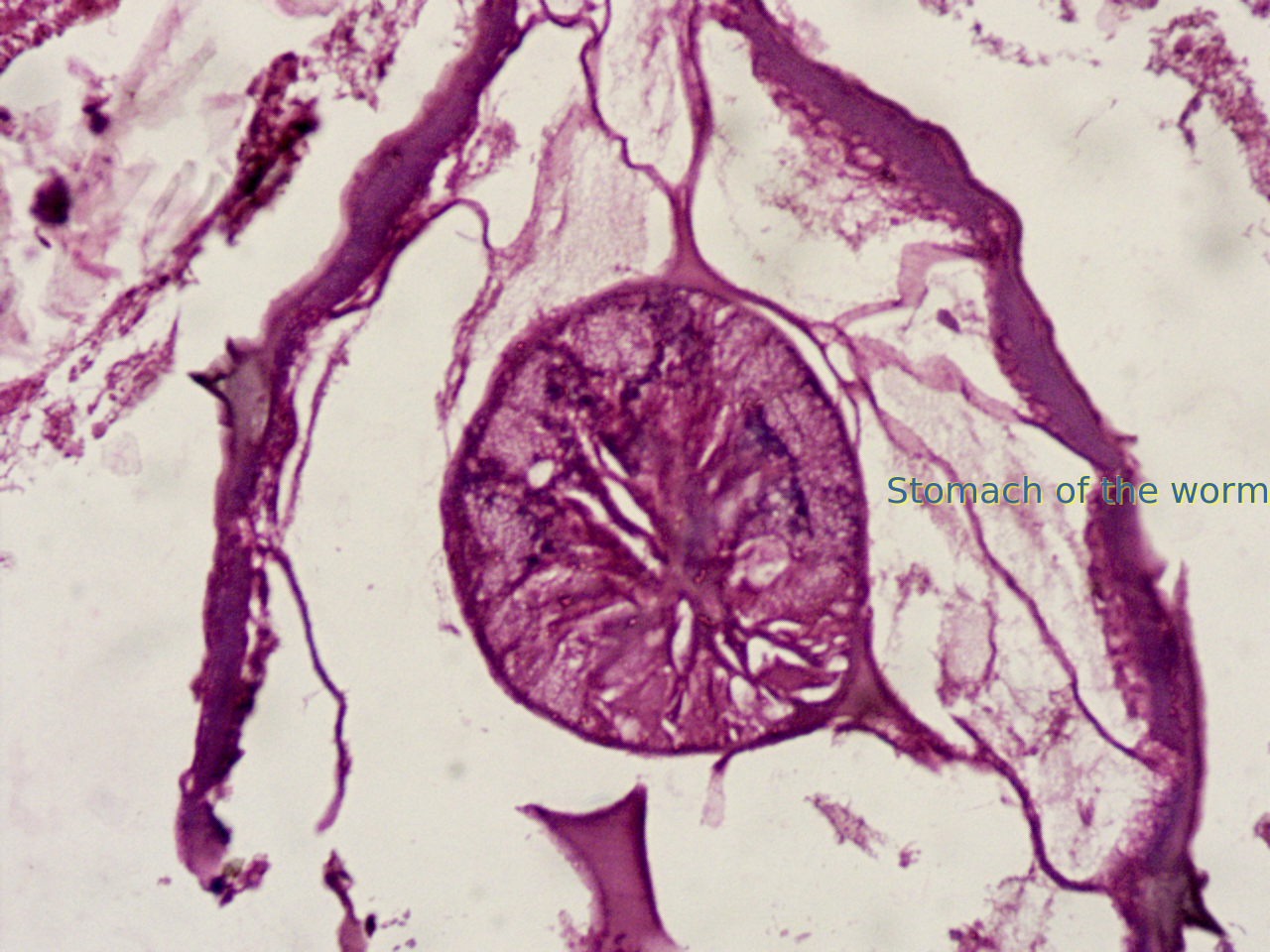 into the roots: 2019