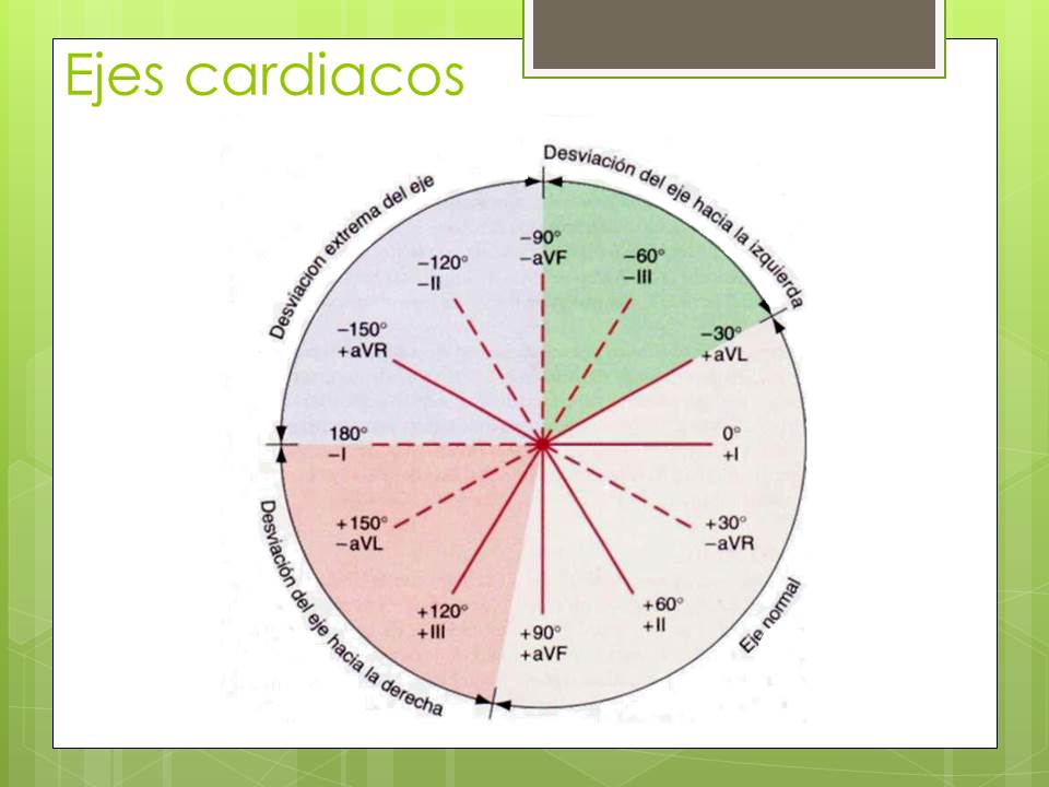 Fisiología del Sebas: Ejes cardiacos.