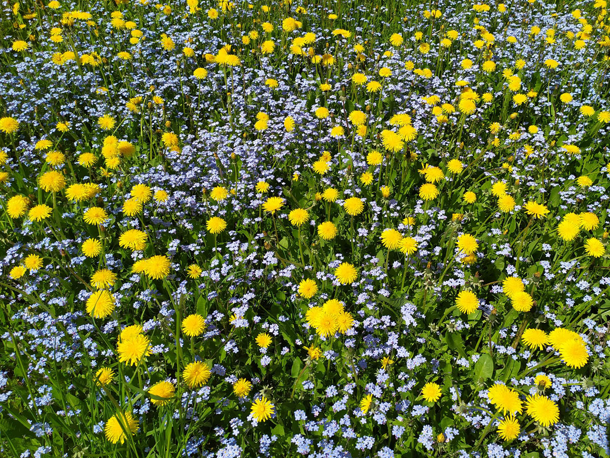 Päevik: Ring ümber Endla raba