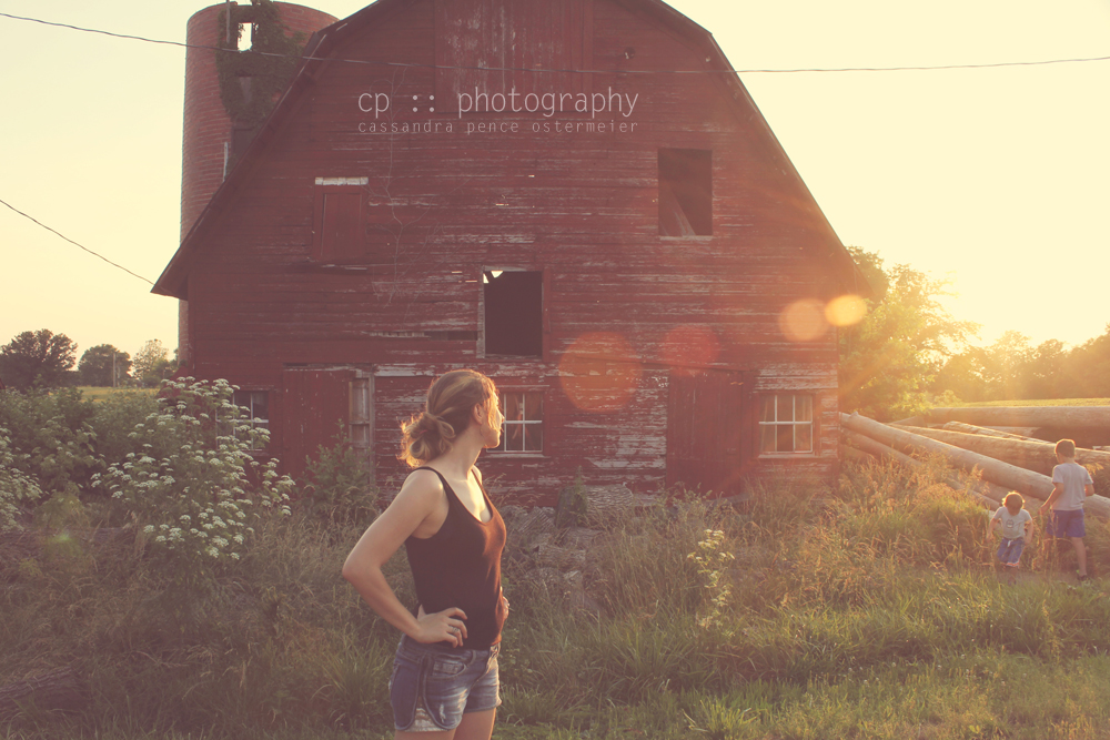 sassafras: farm life :: farm photography