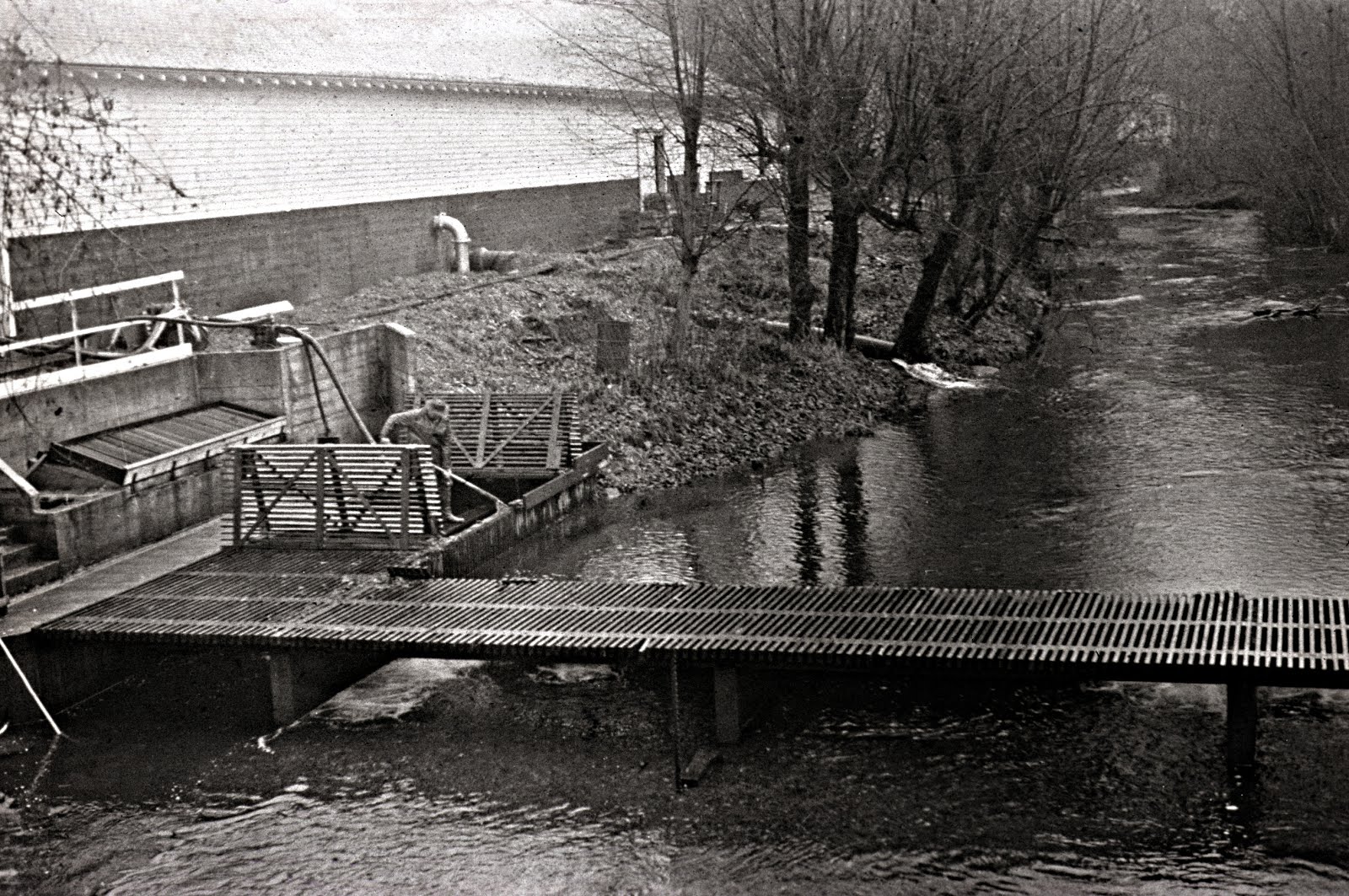 Hasler History: Arthur D Hasler Professional PhotoBio