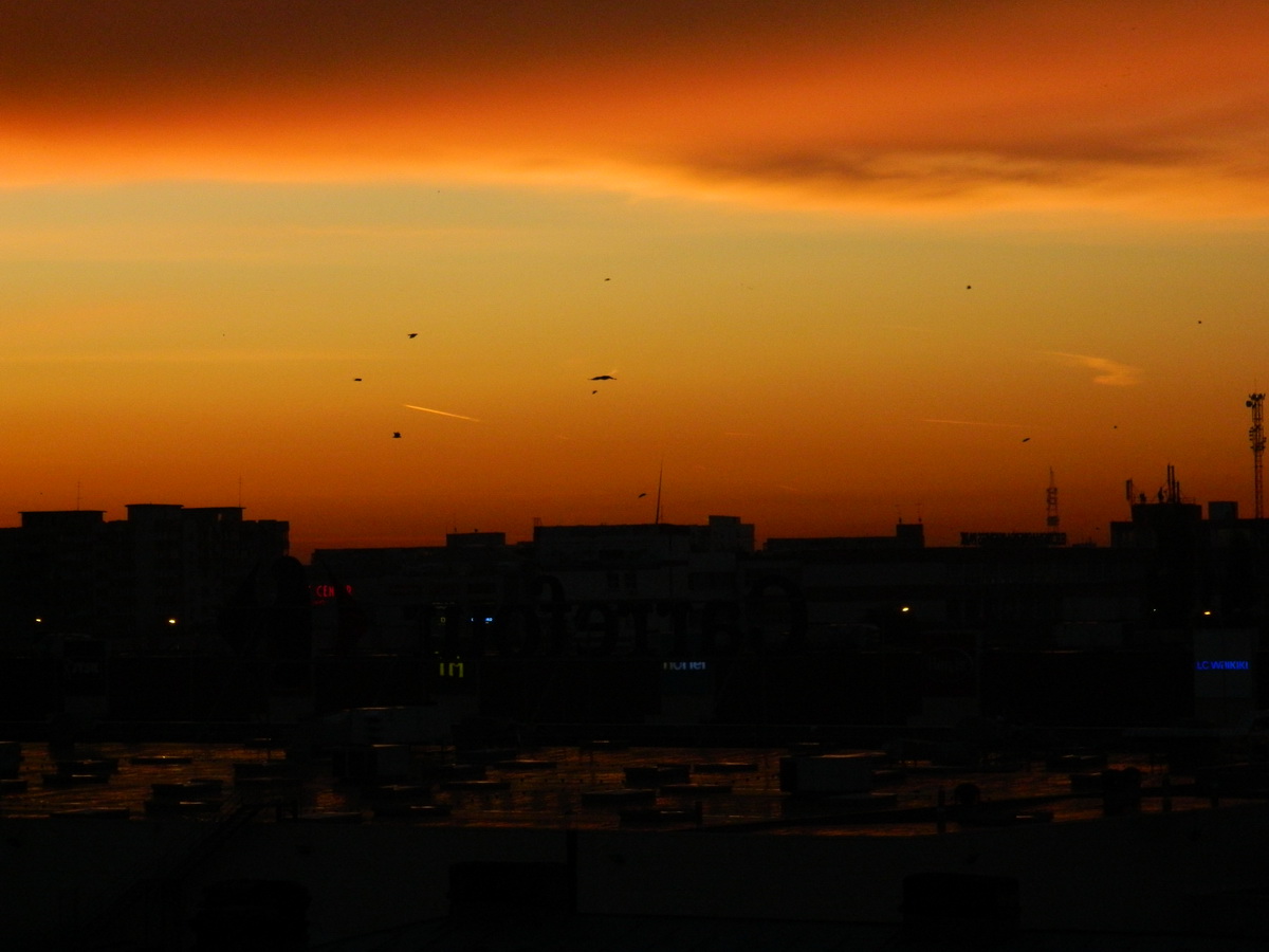 LA MULTI ANI, ROMANIA!: Cer la rasarit