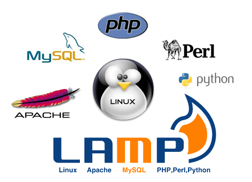 Install LAMP(Linux, Apache, MySQL/MariaDB, PHP) di debian server