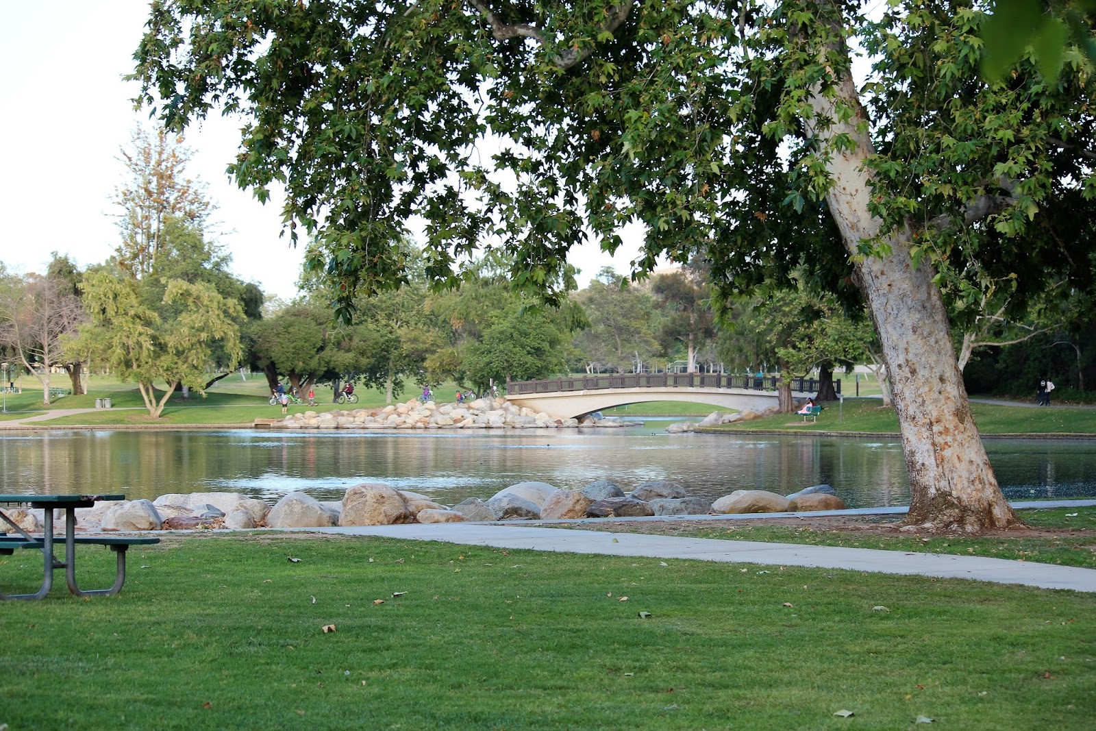 Lyd's Adventures: Mason Park