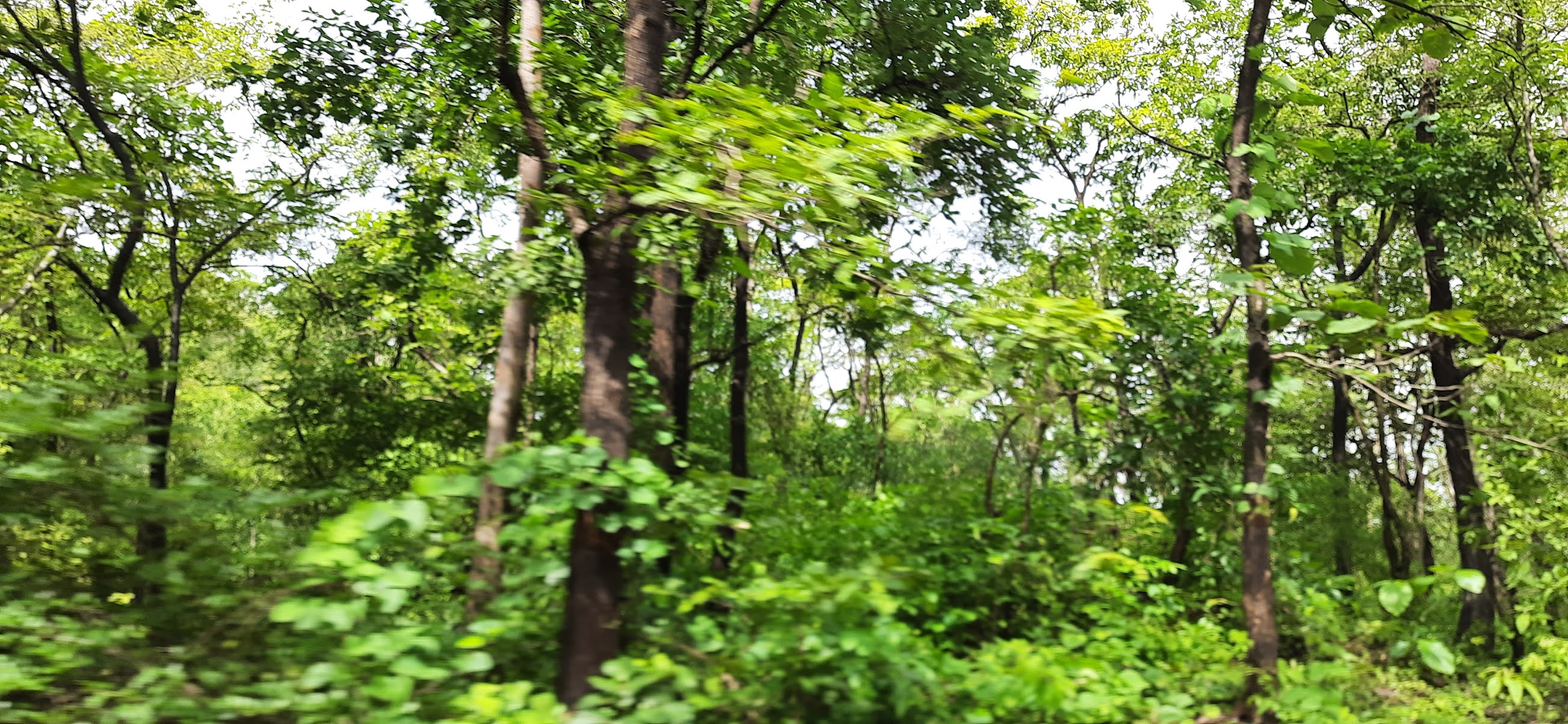 Sharad Pandhare's Educational Blog: Incredible Nature