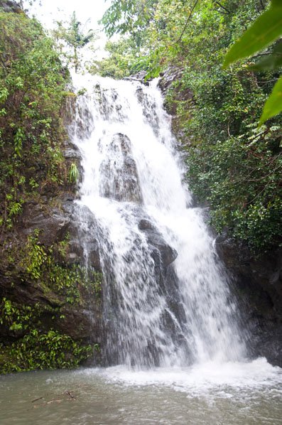 HikeOneHikeAll Hawaii: Waimano Pool and Falls