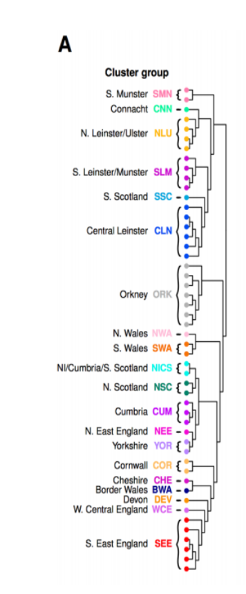 bensozia: Irish Genes