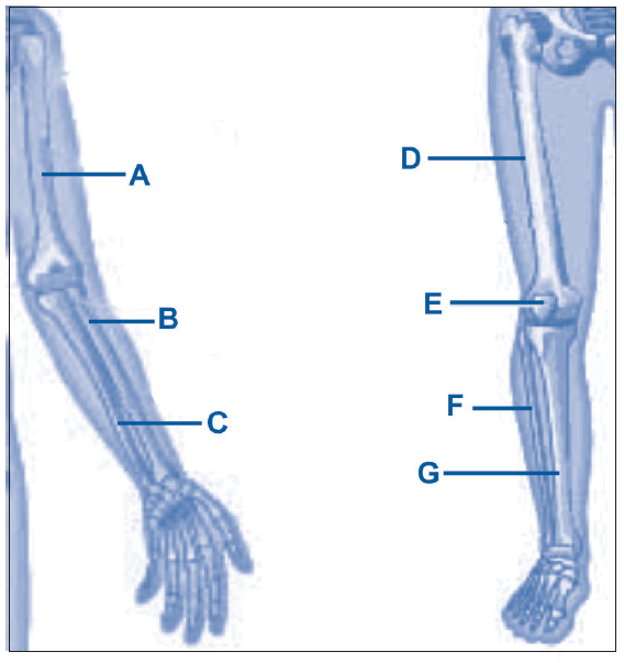 Soal Ipa Jenis Sendi Manusia Dan Gambarnya - Pandu Siswa