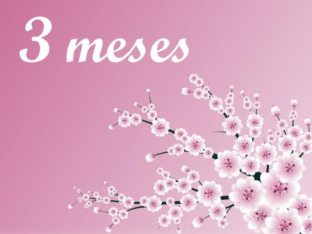 Vamos ser Au Pair: (Feliz) 3 meses