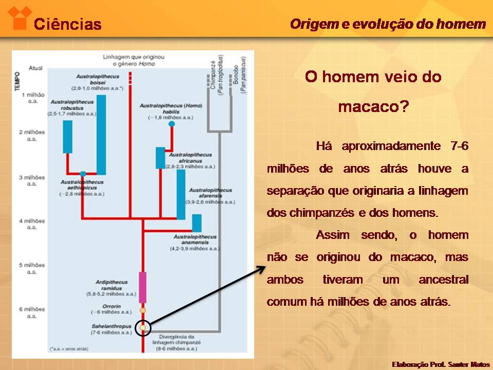 ENCANTOS DA CIÊNCIAS: Power point para o 8º ano/ Origem e Evolução do Homem