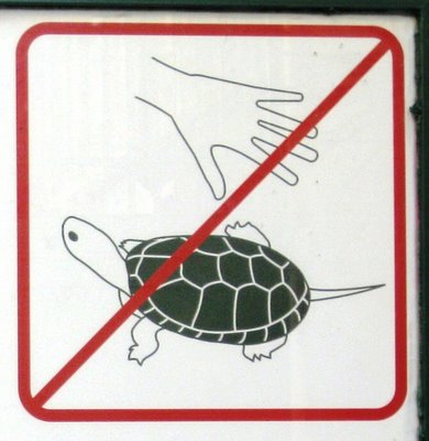 compSocSci: More about not using netlogo