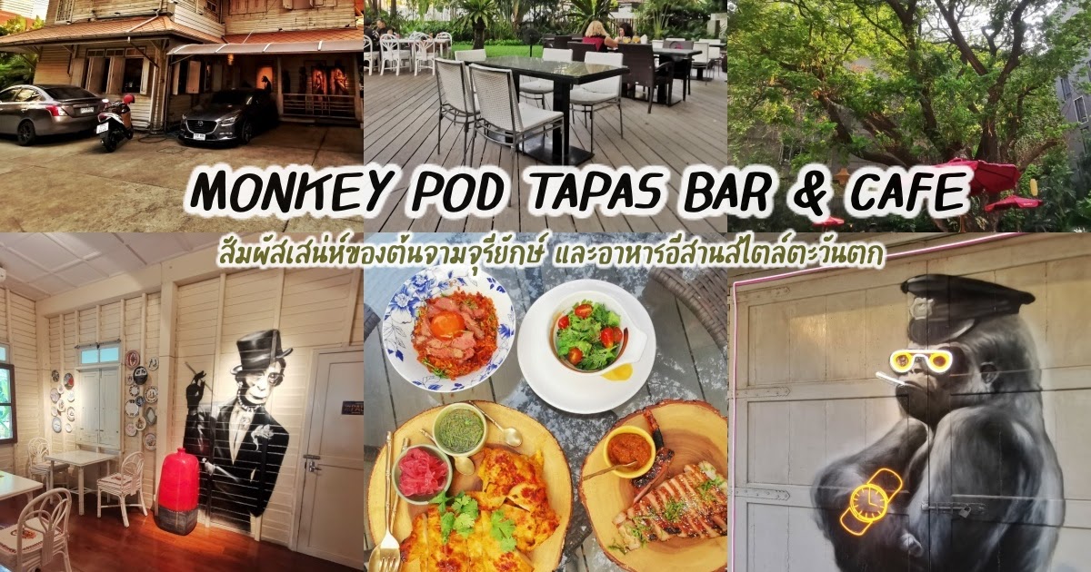 รีวิว :: MONKEY POD TAPAS BAR & CAFE สัมผัสเสน่ห์ของต้นจามจุรียักษ์ และ ...