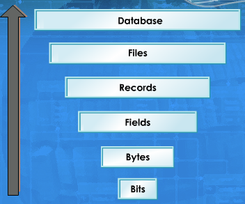 HIERARCHY OF DATA ~ ICT SPM - Blog Cikgu Hisham