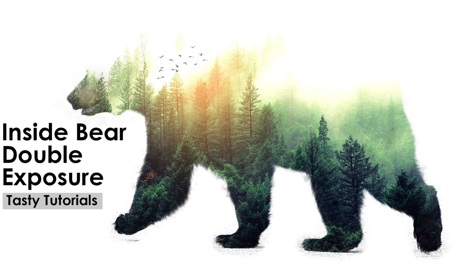 Inside Bear The Double Exposure Effect in Photoshop - Tasty Tutorials