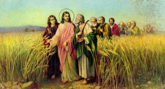 Un sábado, caminaba Jesús por los sembrados...