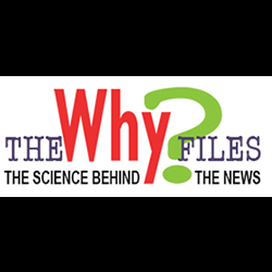 Teacher Librarians: Bridging Theory and Practice: Website Review: The ...