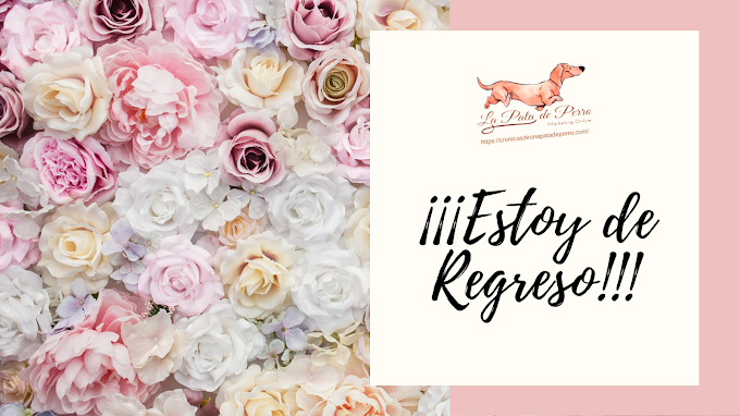 Estoy de Regreso... o casi...