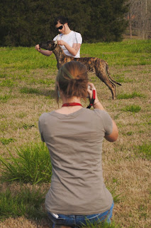 The Working Dane - More Than Holding Down the Couch!: Photographing the ...