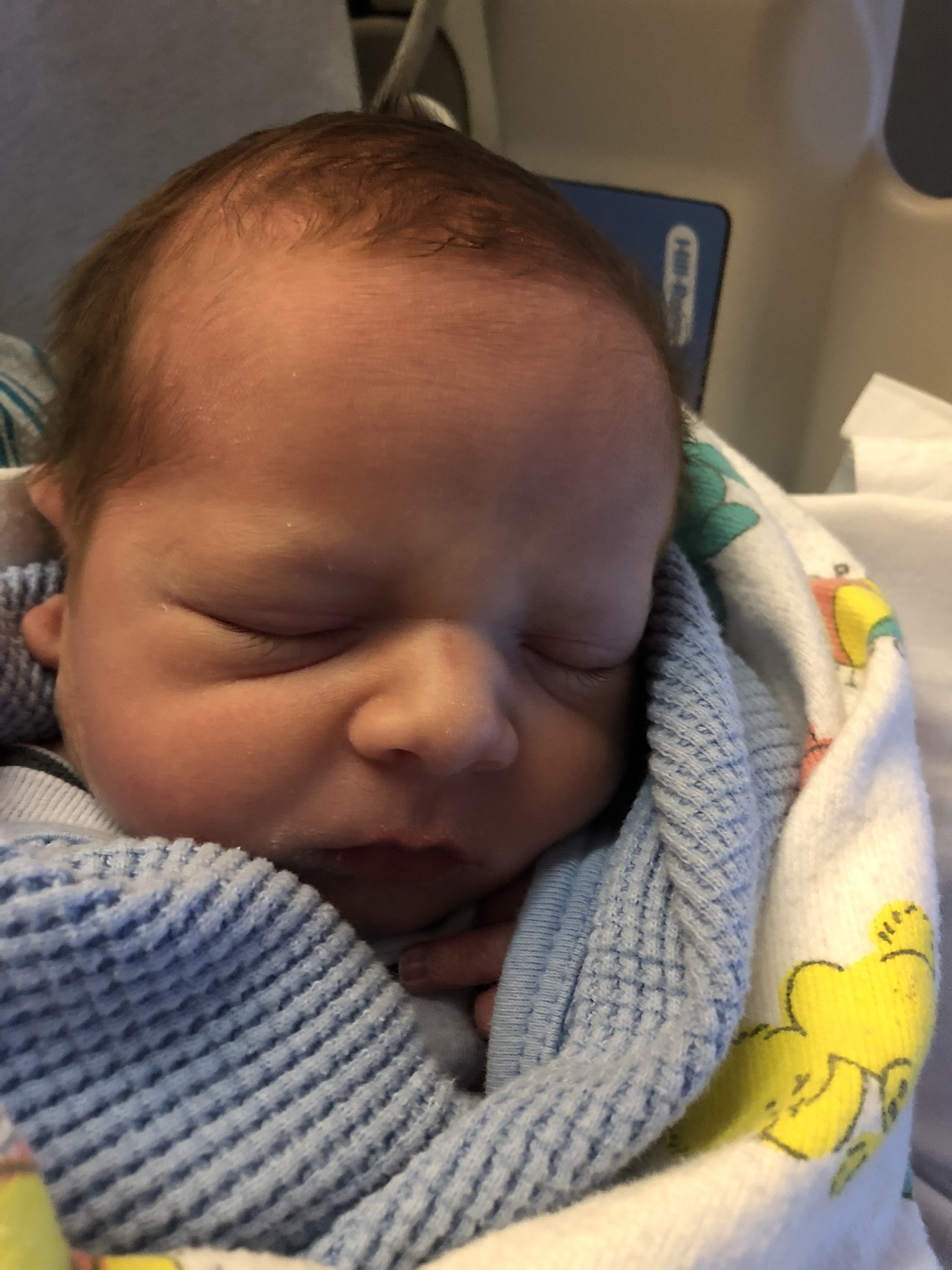 The Starr Family Blog: 2019