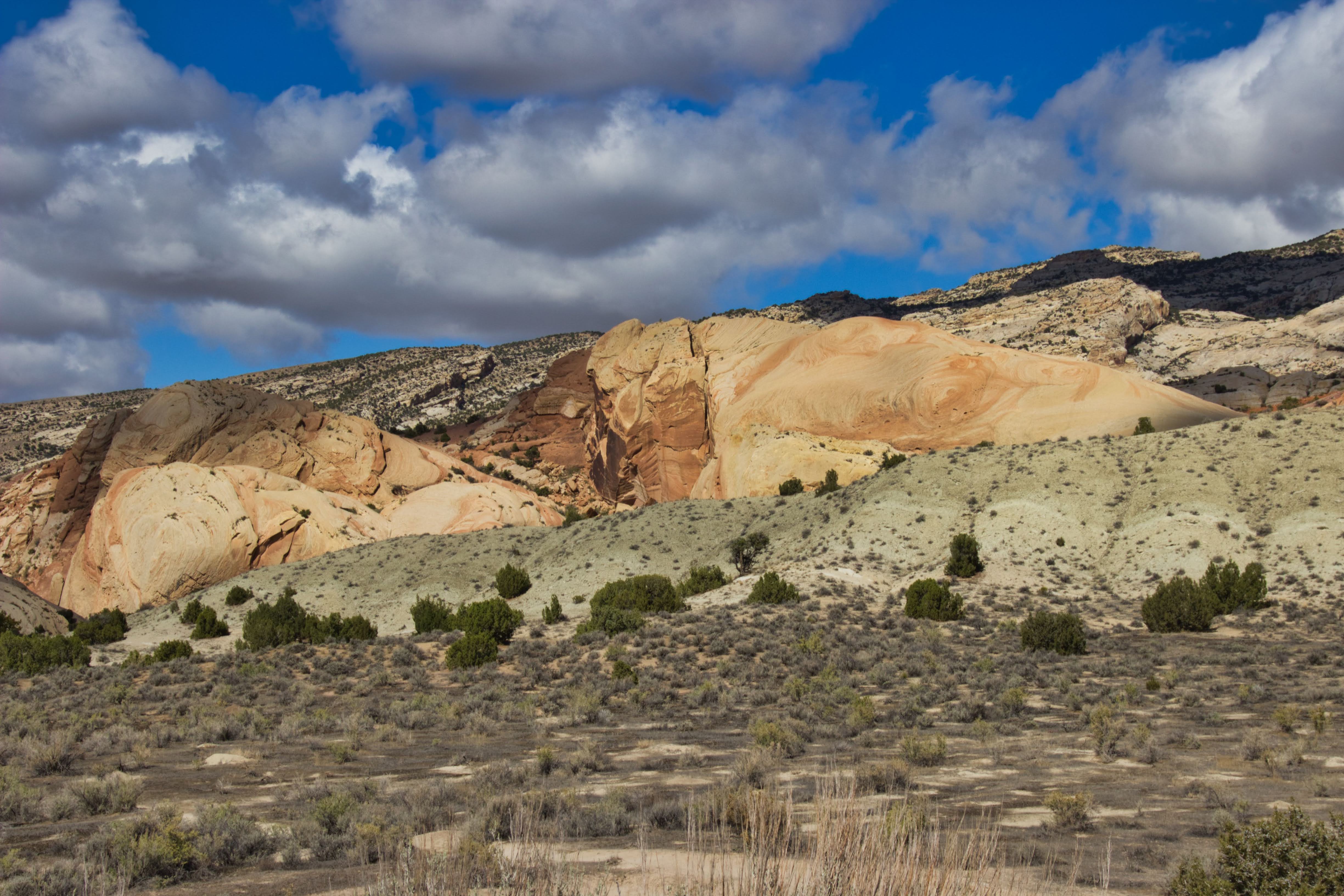 To Behold the Beauty: Dinosaur National Monument