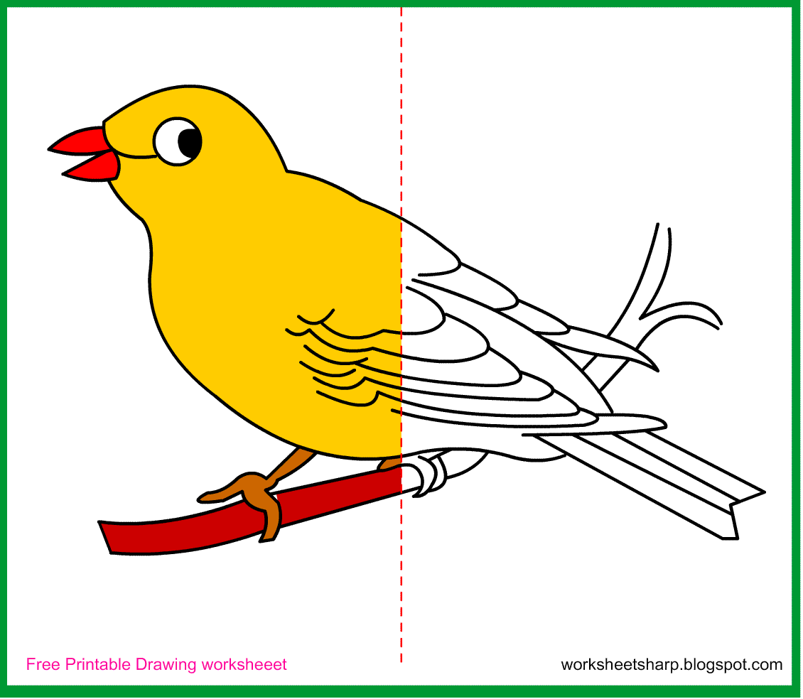 Free Drawing worksheets Printable: Canary Drawing worksheets