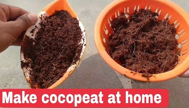 How to make coco peat at home and uses - Prakratik.com
