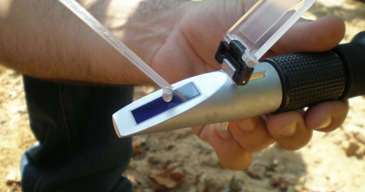 Vinos: ¿Qué son los grados Brix?