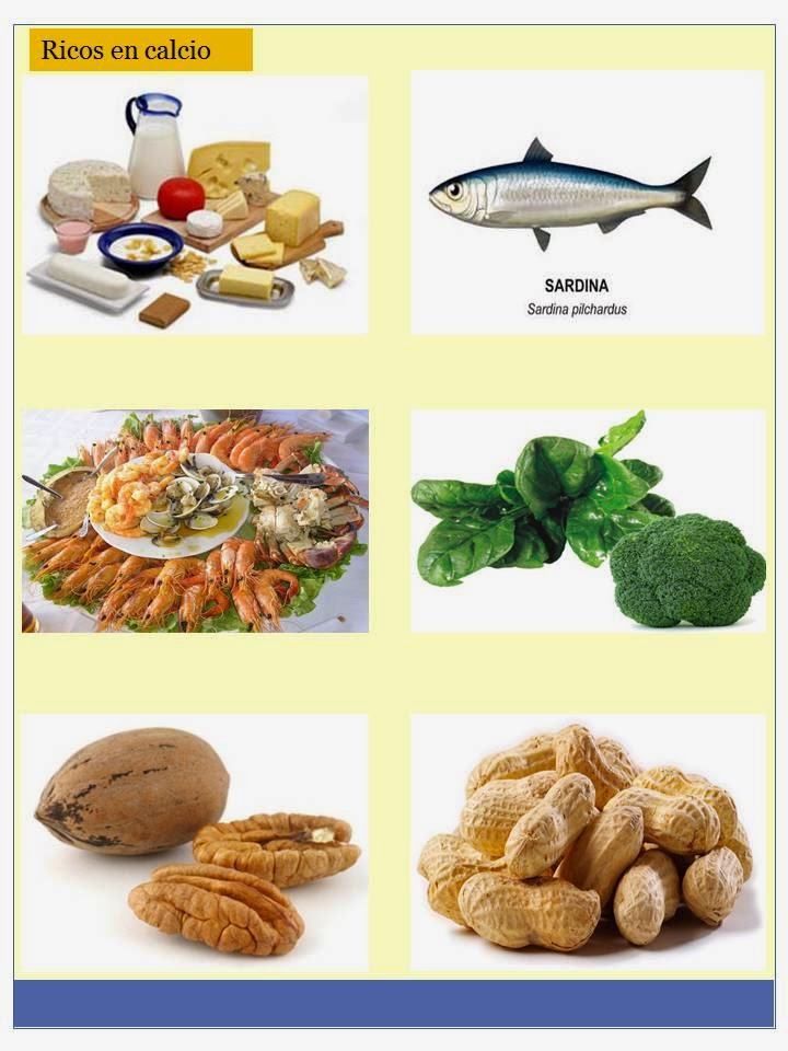 BIOLOGIA CONTEMPORANEA: 2015-02-08