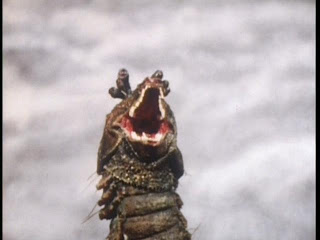 Unearthly Doctor: Carnival of Monsters