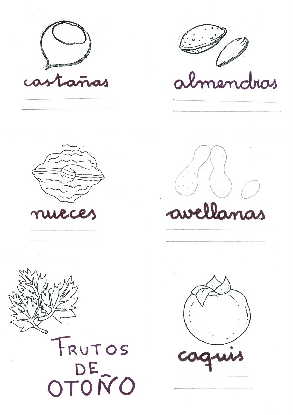 LA ESCUELA SANTUARIO: Cuadernillo "Frutos de otoño"