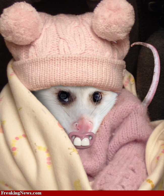 In Just 10: April 2011