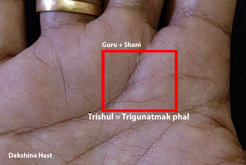 Sacred Science: Hast Rekha Sastra: Hindu Science of Palmistry