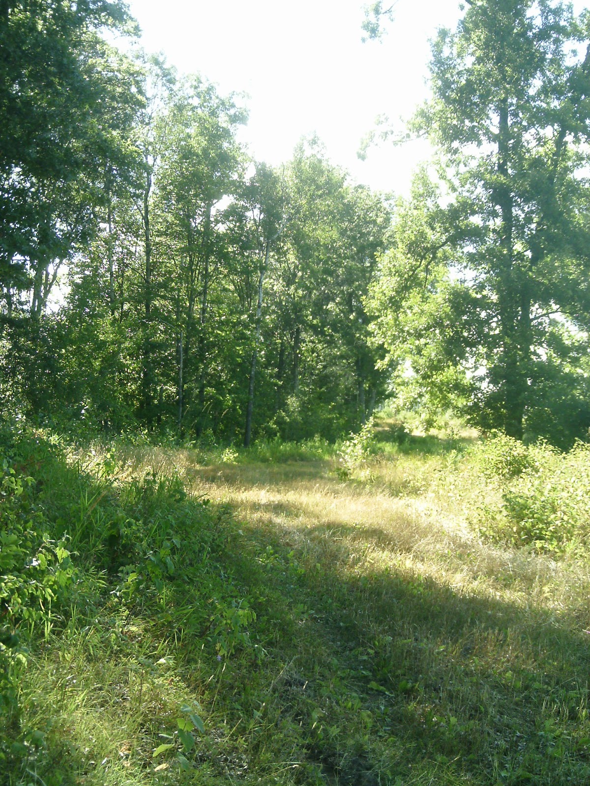 Day Hiking Trails: Diverse day trails abound at Crex Meadows