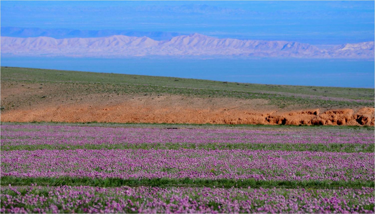 MONGOLIË: MET DE 4X4 DOOR DE GOBI WOESTIJN (1): VAN ULAANBAATAR NAAR ...