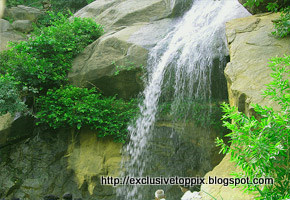 Exclusive Top Pix: Jalagamparai waterfalls, Yelagiri
