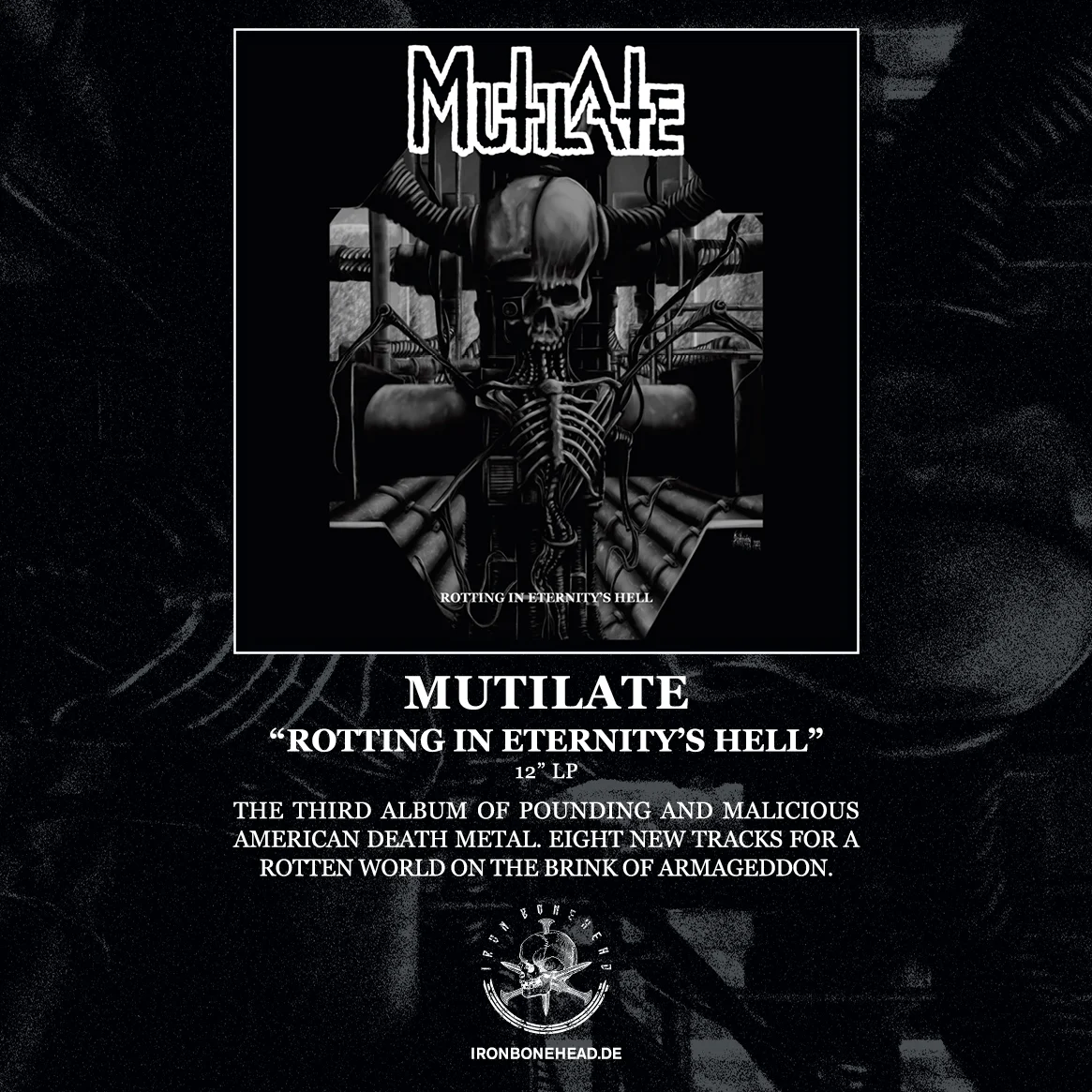 Facebook Twitter Google+ StumbleUpon Digg Pinterest LinkedIn