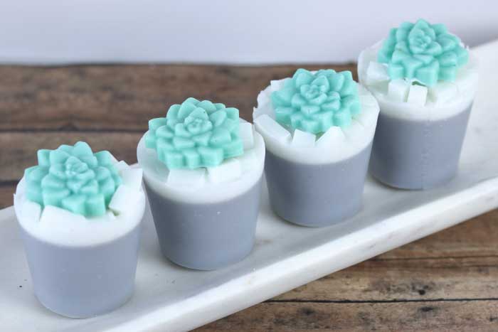 How to Make Succulent Soap With Melt and Pour Soap - Everything Pretty