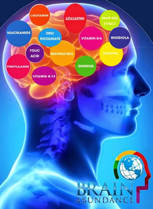 OUR GLOBAL POWER TEAM: Brain Abundance Presents Brain Fuel PLUS