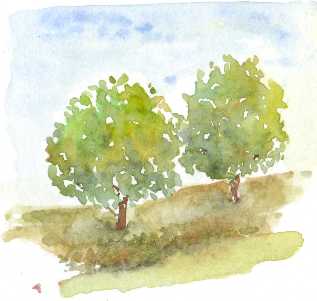 Acquerelliamo insieme: Video di un piccolo acquerello