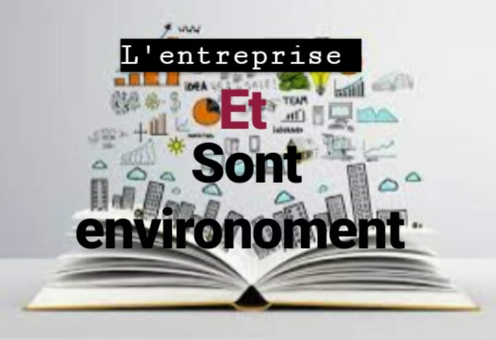 Chapitre 3 : La classification des entreprises. - Gestionnaire