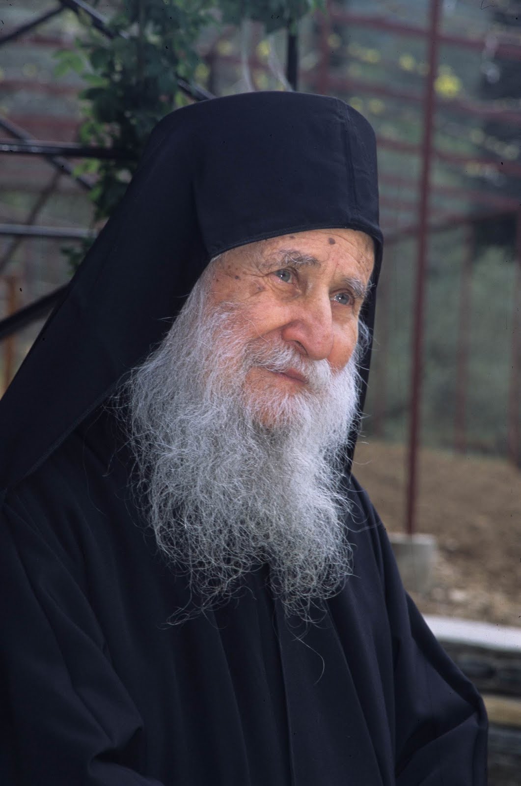 PANAYIOTIS TELEVANTOS: ΑΝΟΙΧΤΗ ΕΠΙΣΤΟΛΗ ΠΡΟΣ ΤΟΝ ΟΣΙΟΛΟΓΙΟΤΑΤΟ ΜΟΝΑΧΟ ...