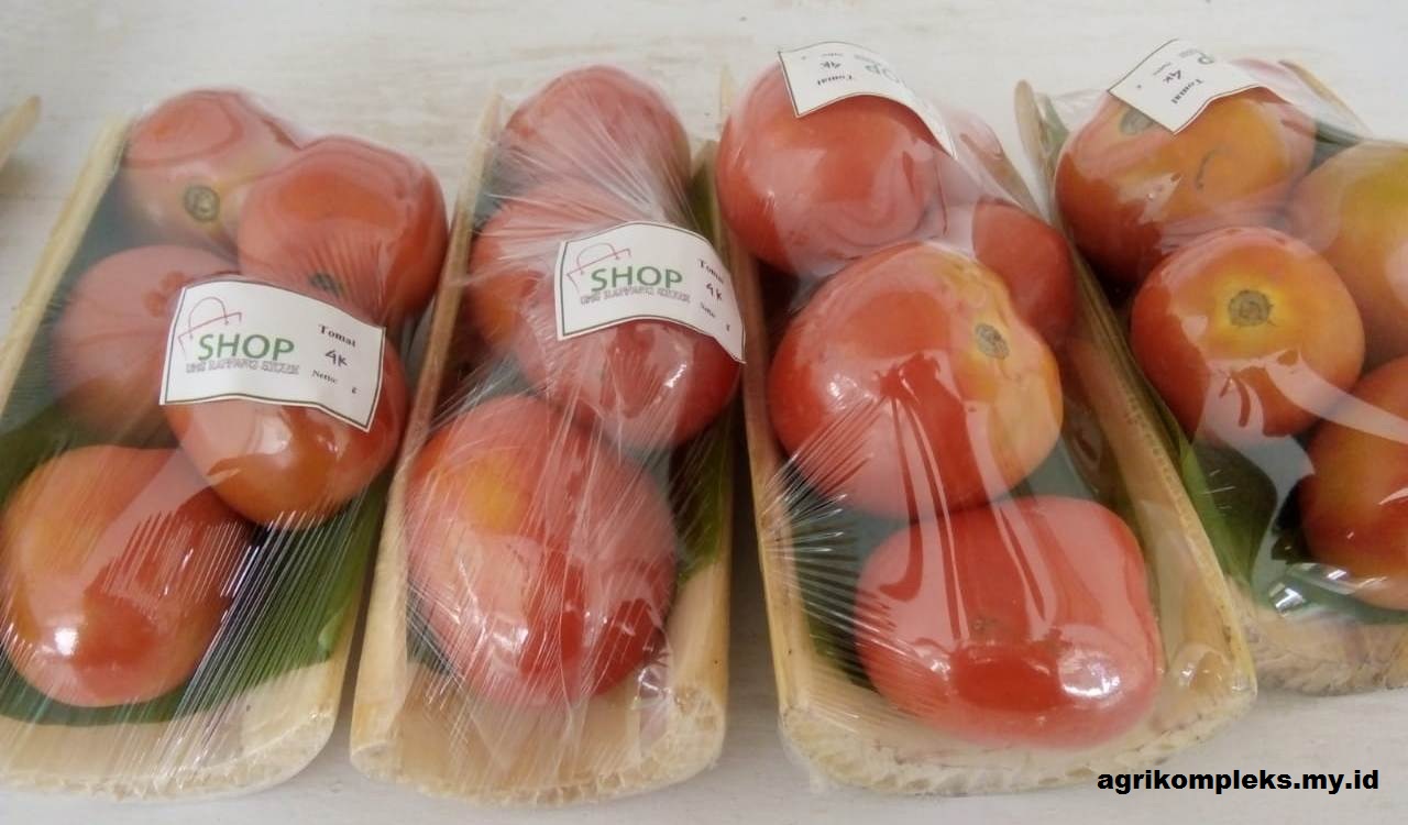 Peluang Usaha Di Bidang Agribisnis Sayuran Packing - Agribisnis ...